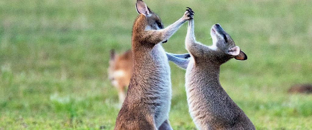 How do we tough out conflict in relationships? – Vox Intra